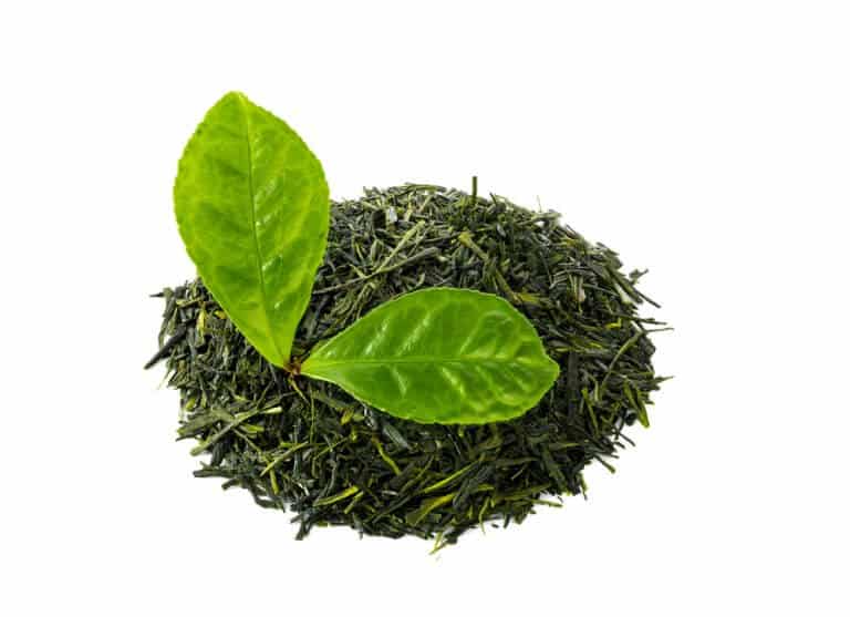 The Complete Guide to Japanese Tea - The True Japan