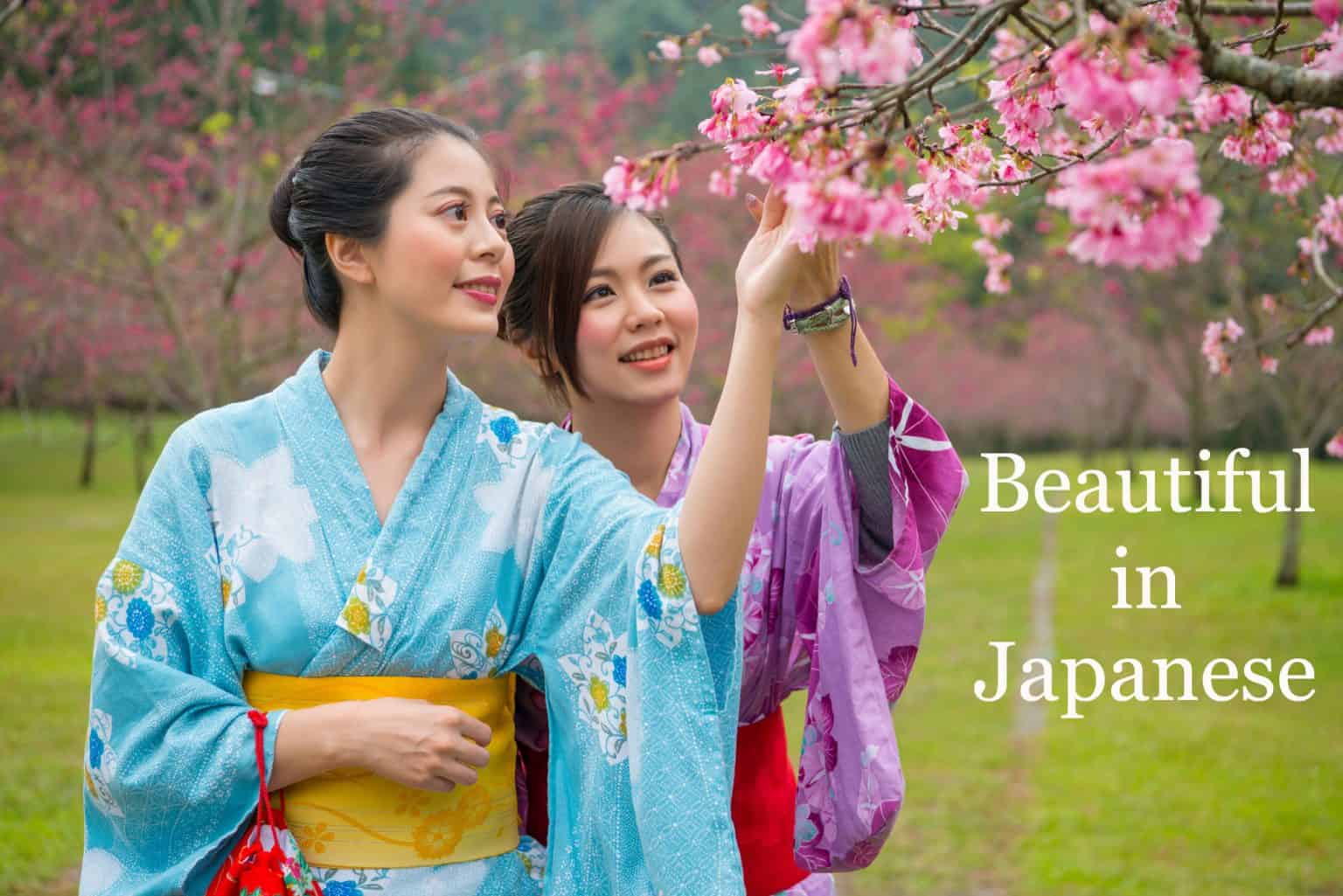 How to Say Beautiful in Japanese Naturally - The True Japan