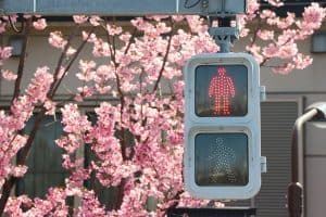 The Most Natural Ways to Say Stop in Japanese: A Complete Guide