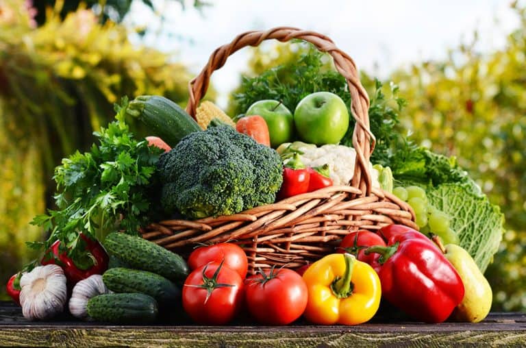 A Guide to Vegetable Names in Japanese: Veggies, Herbs, and More!